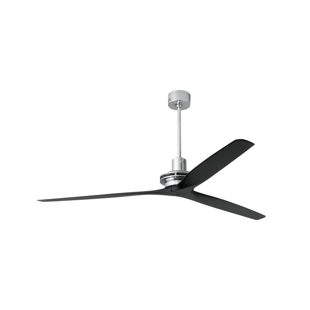 Pitts Black – TOTIMO